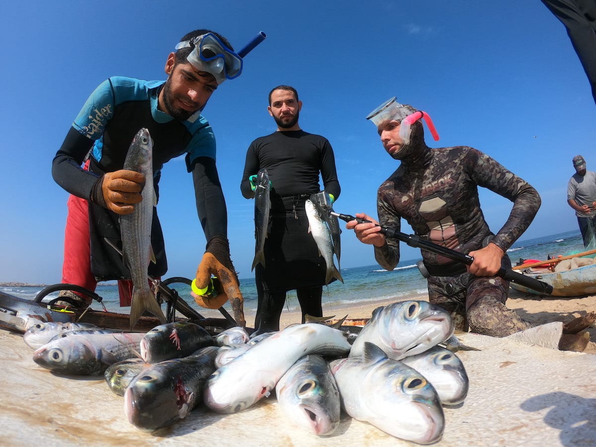 MEMO photographer starts to document Gaza’s marine life – Middle East ...