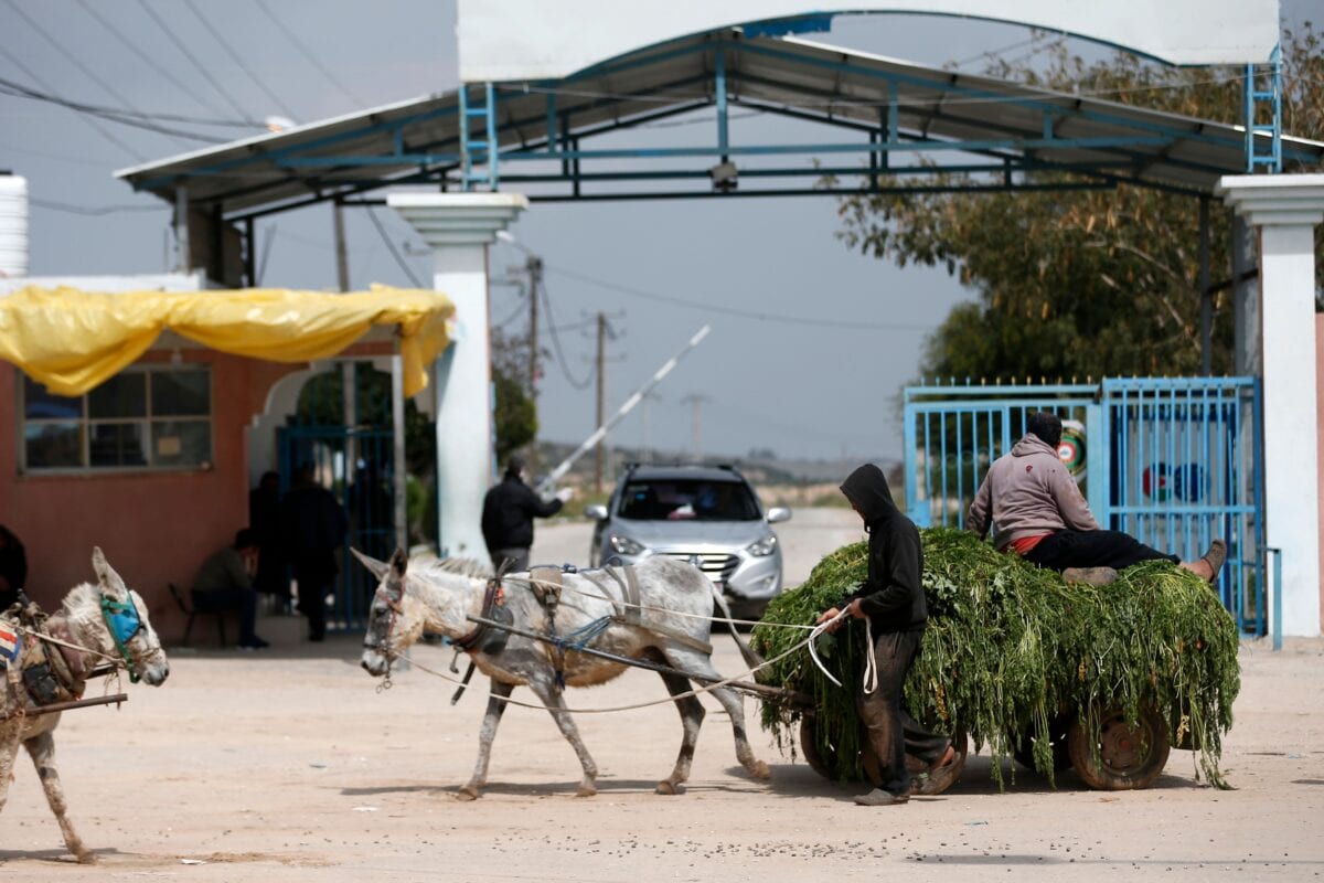 15 Palestinians arrested in Gaza within a month – Middle East Monitor