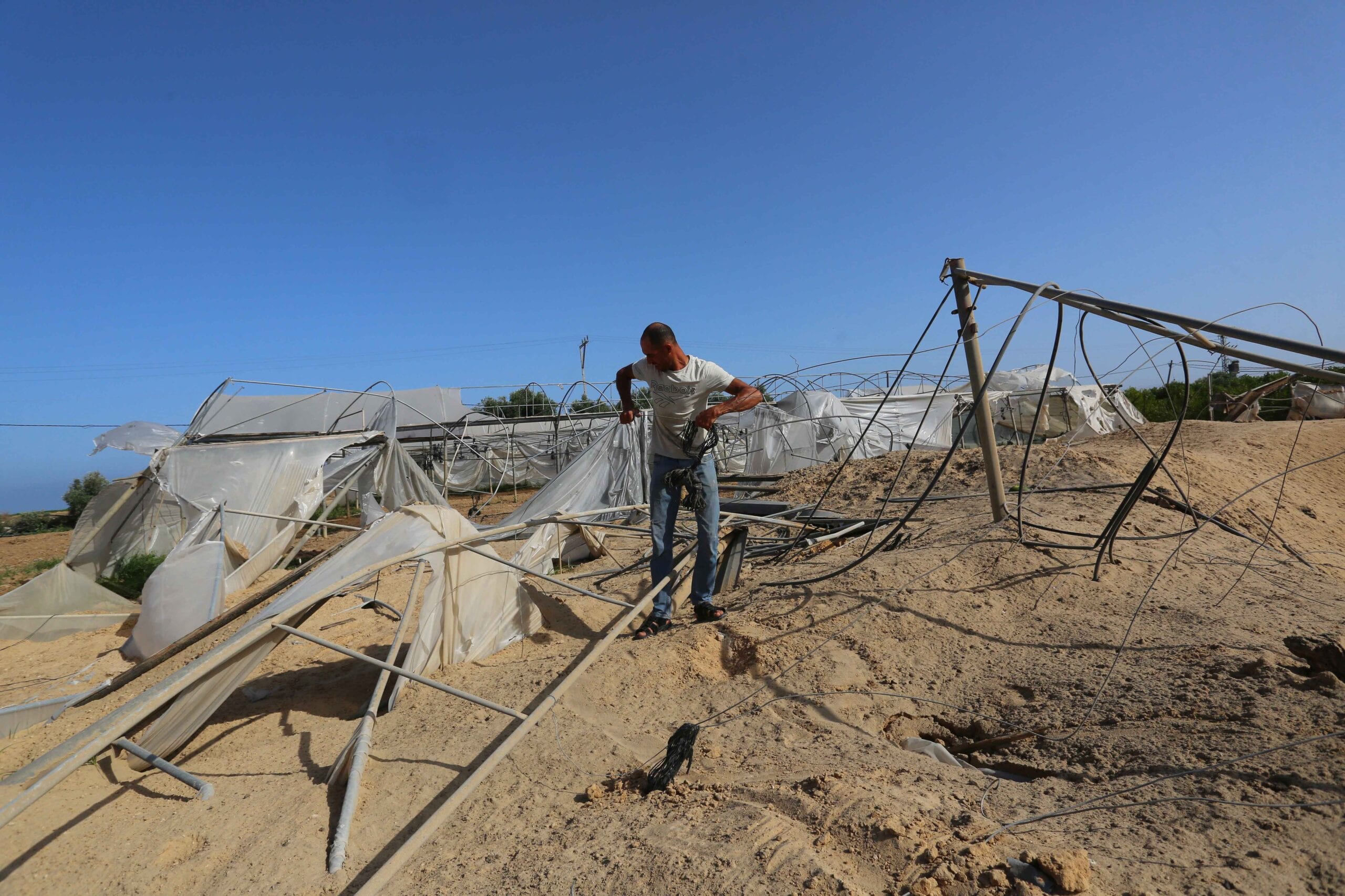 Low harvest season for Gaza farmers after Israeli attacks – Middle East ...