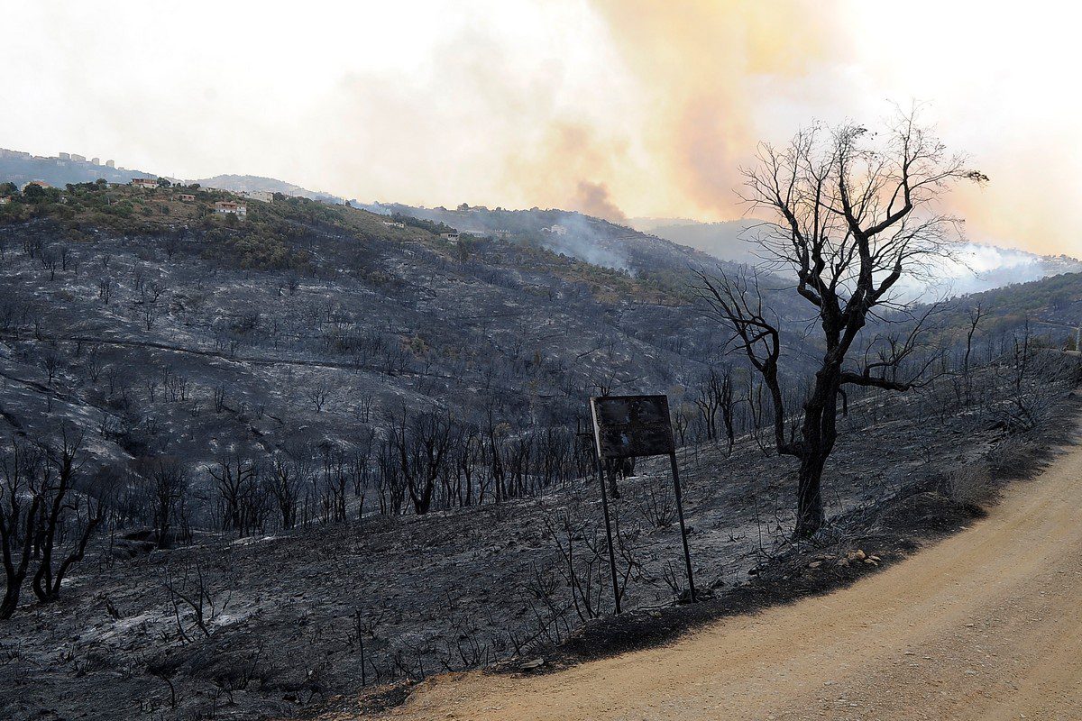Algeria continues battle against wildfires – Middle East Monitor