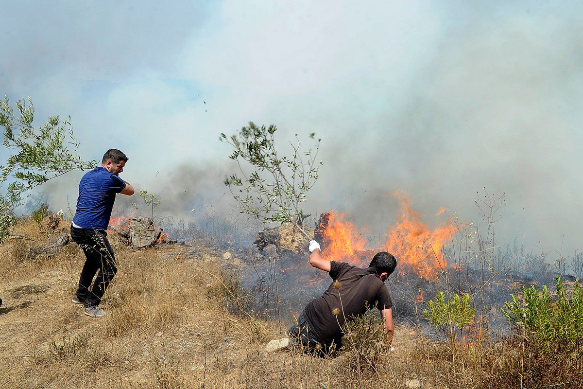 Algeria continues battle against wildfires – Middle East Monitor