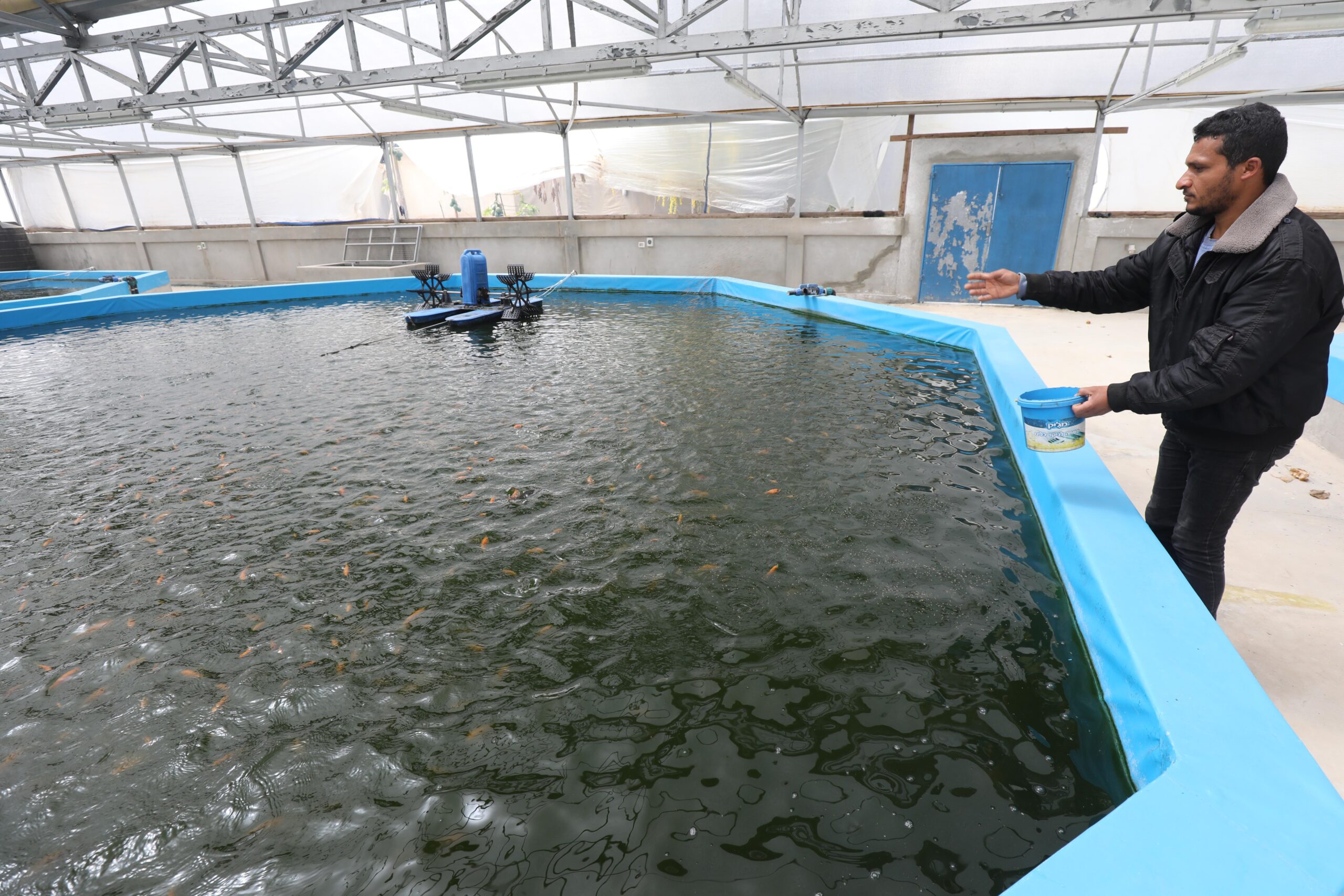 Fish farming to meet Gaza’s consumption needs – Middle East Monitor