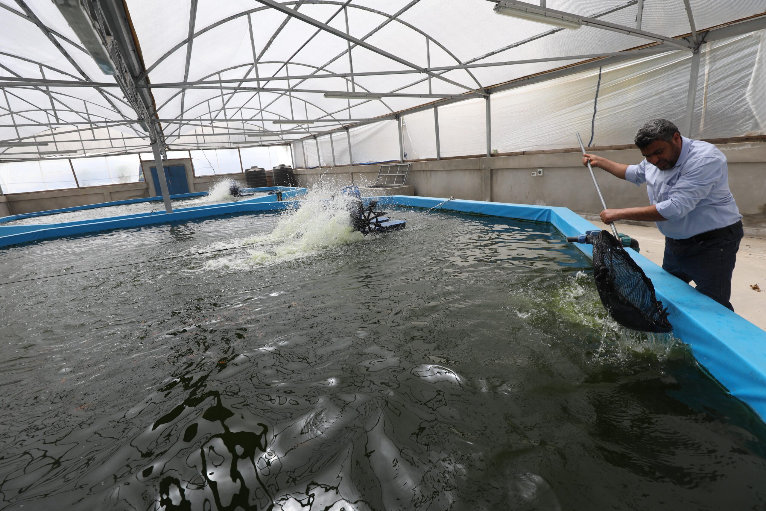 Fish farming to meet Gaza’s consumption needs – Middle East Monitor