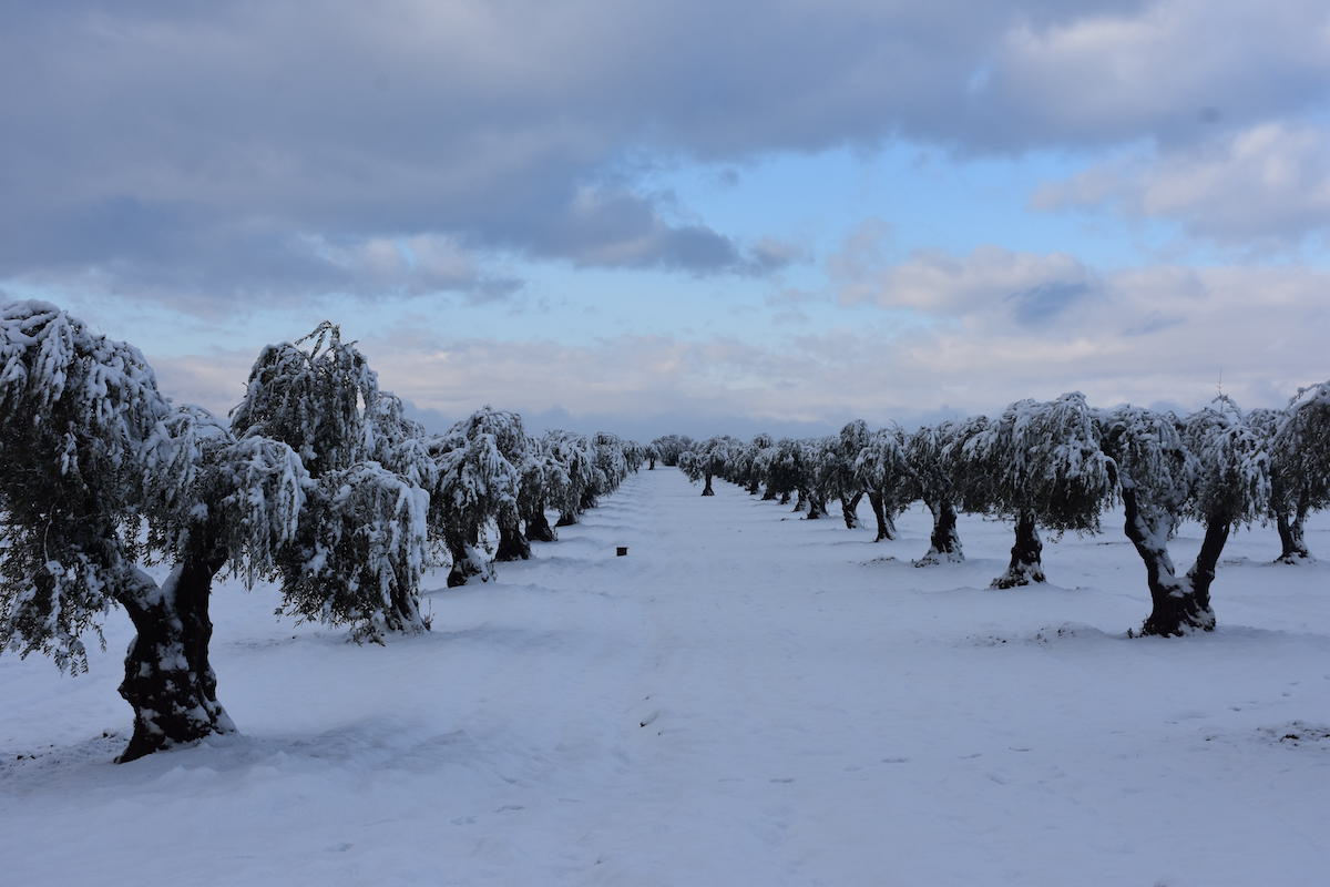 Snowfall brings down tents in northern Syria, leaving refugees out in ...