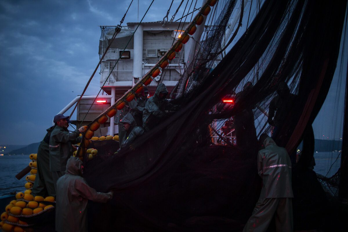 Mediterranean, Black Sea overfishing hits 10-year low: UN report ...