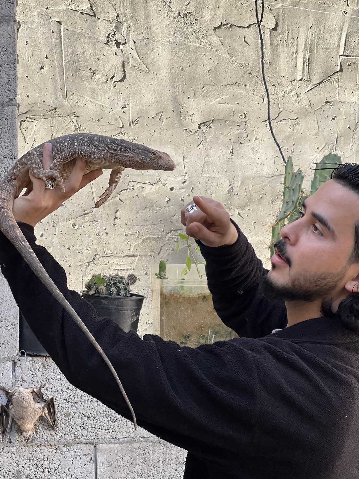 Saving animals from extinction in Gaza – Middle East Monitor