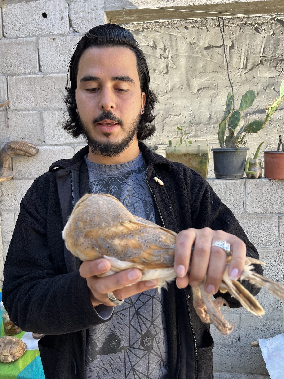 Saving animals from extinction in Gaza – Middle East Monitor