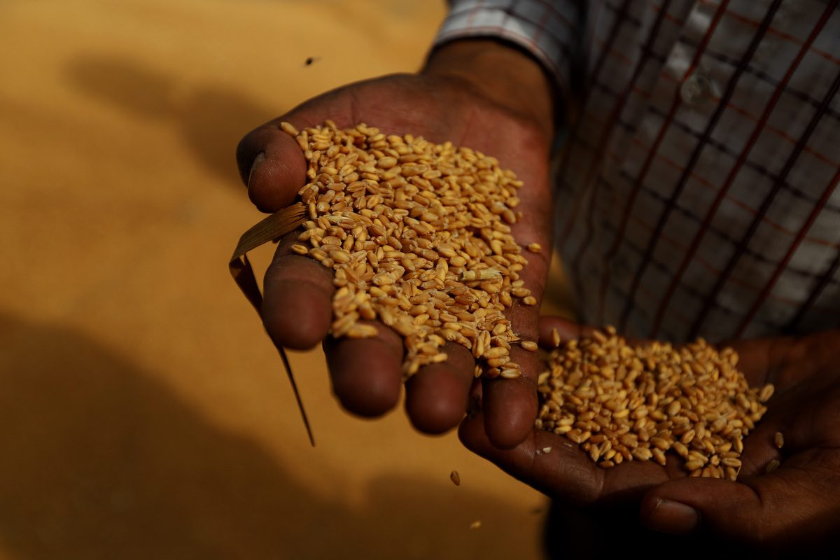Morocco: Wheat supply sufficient for 4 months – Middle East Monitor