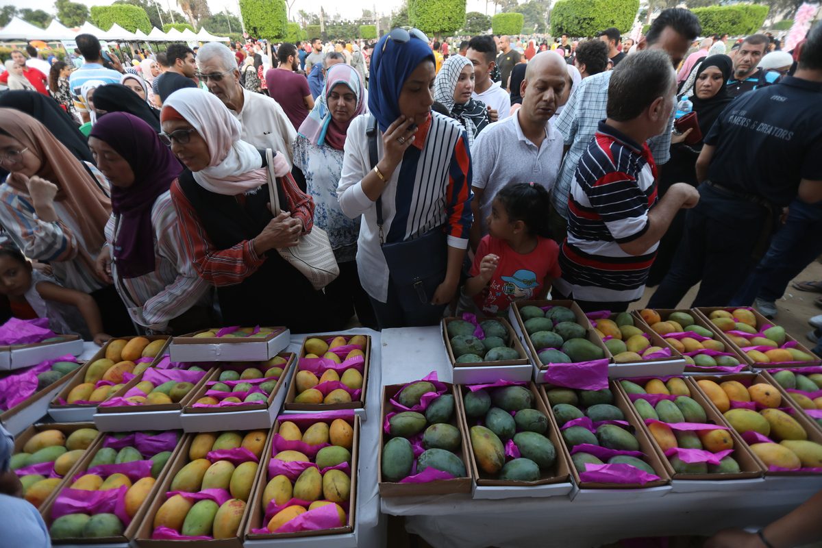 Egypt hosts Mango Festival – Middle East Monitor