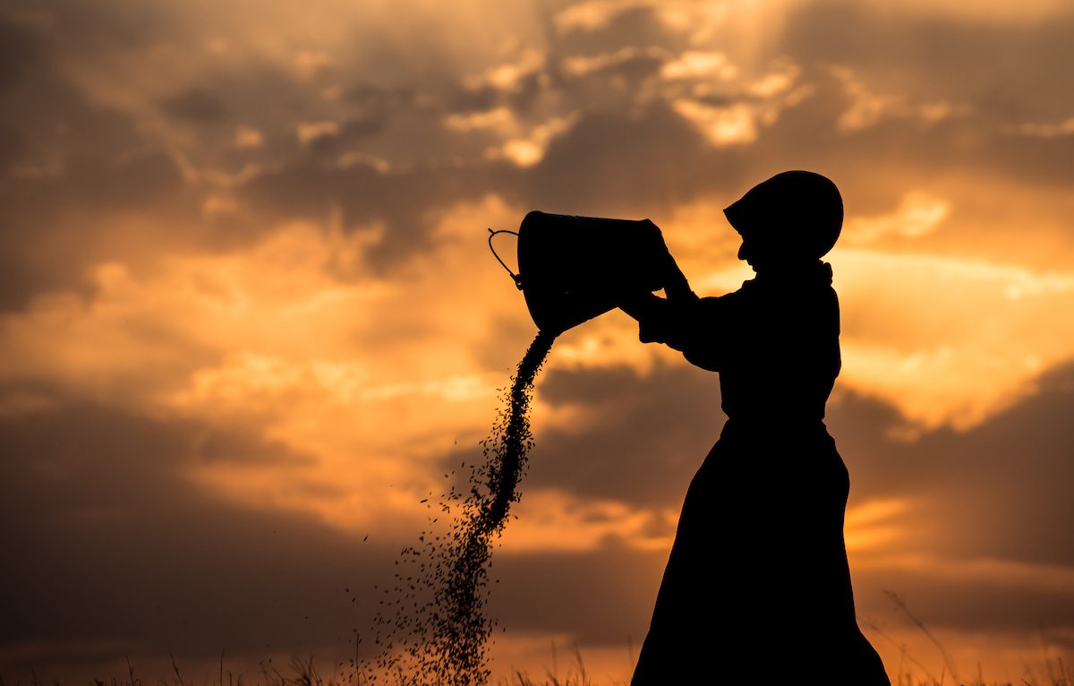 Women sift through the cereals in Turkiye’s Kars – Middle East Monitor