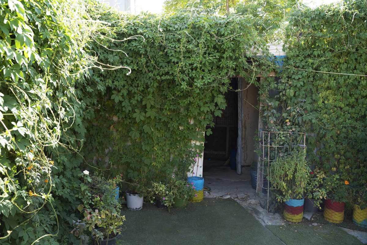 Gardening at Khanke refugee camp in Iraq – Middle East Monitor