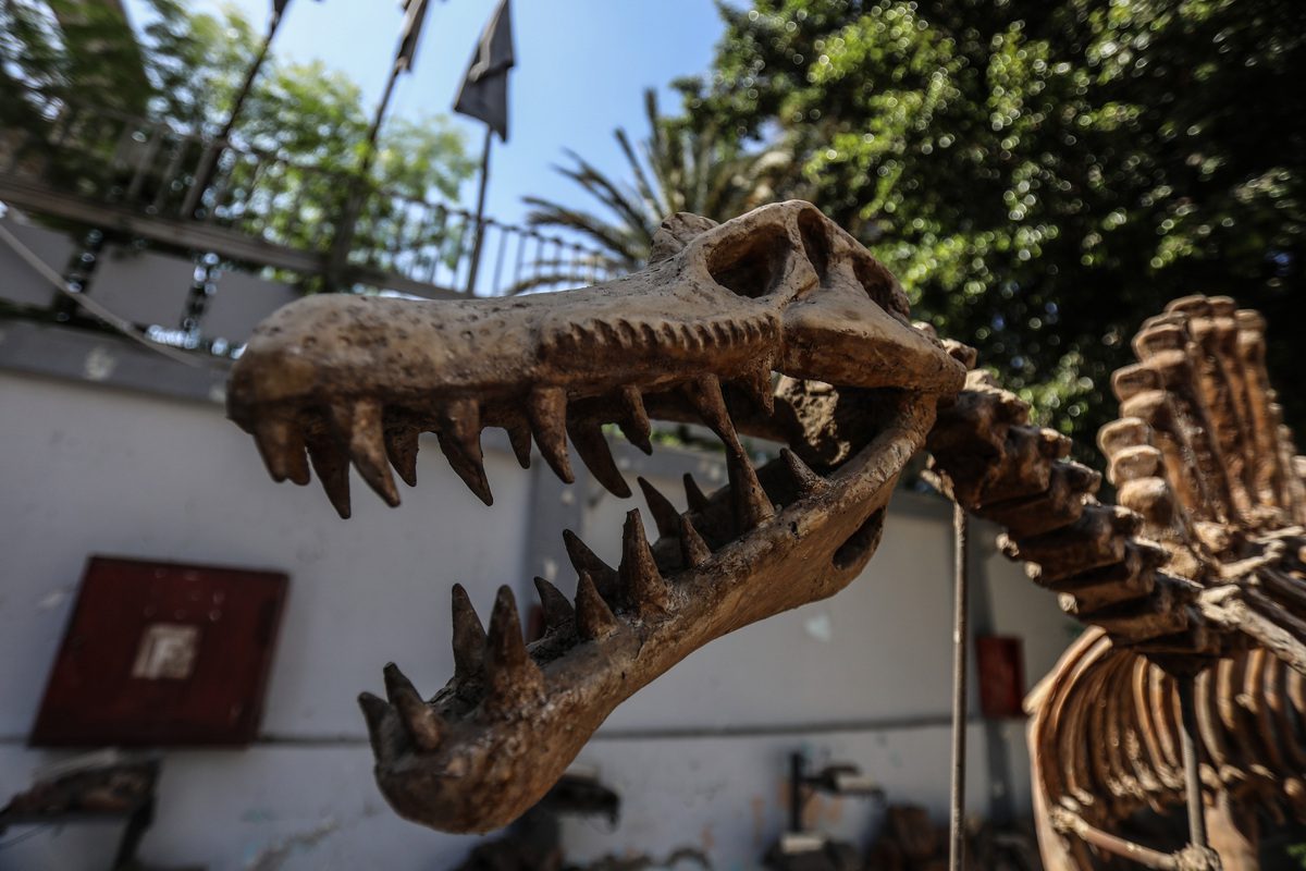 Egyptian Geology Museum: Middle East and Africa’s first geoscience ...