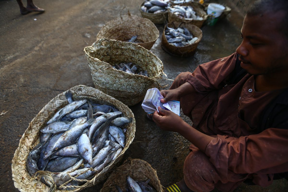 Fish market in Omdurman, Sudan – Middle East Monitor
