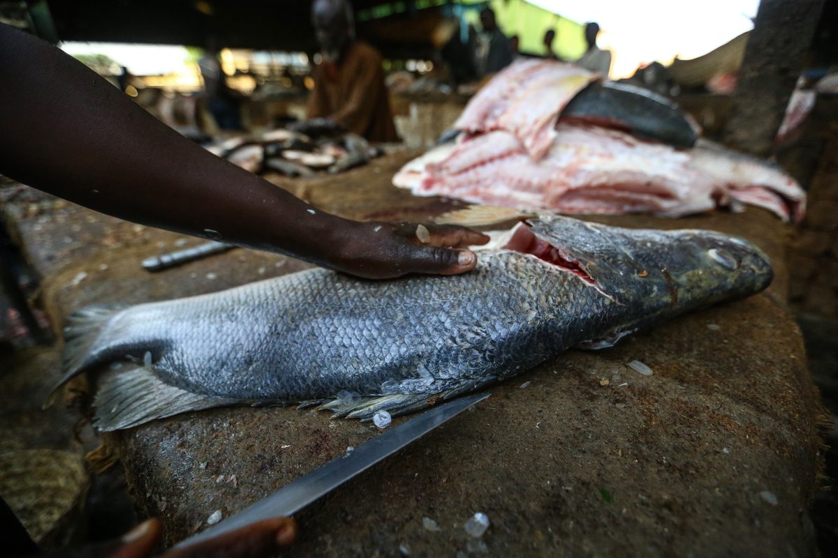 Fish market in Omdurman, Sudan – Middle East Monitor