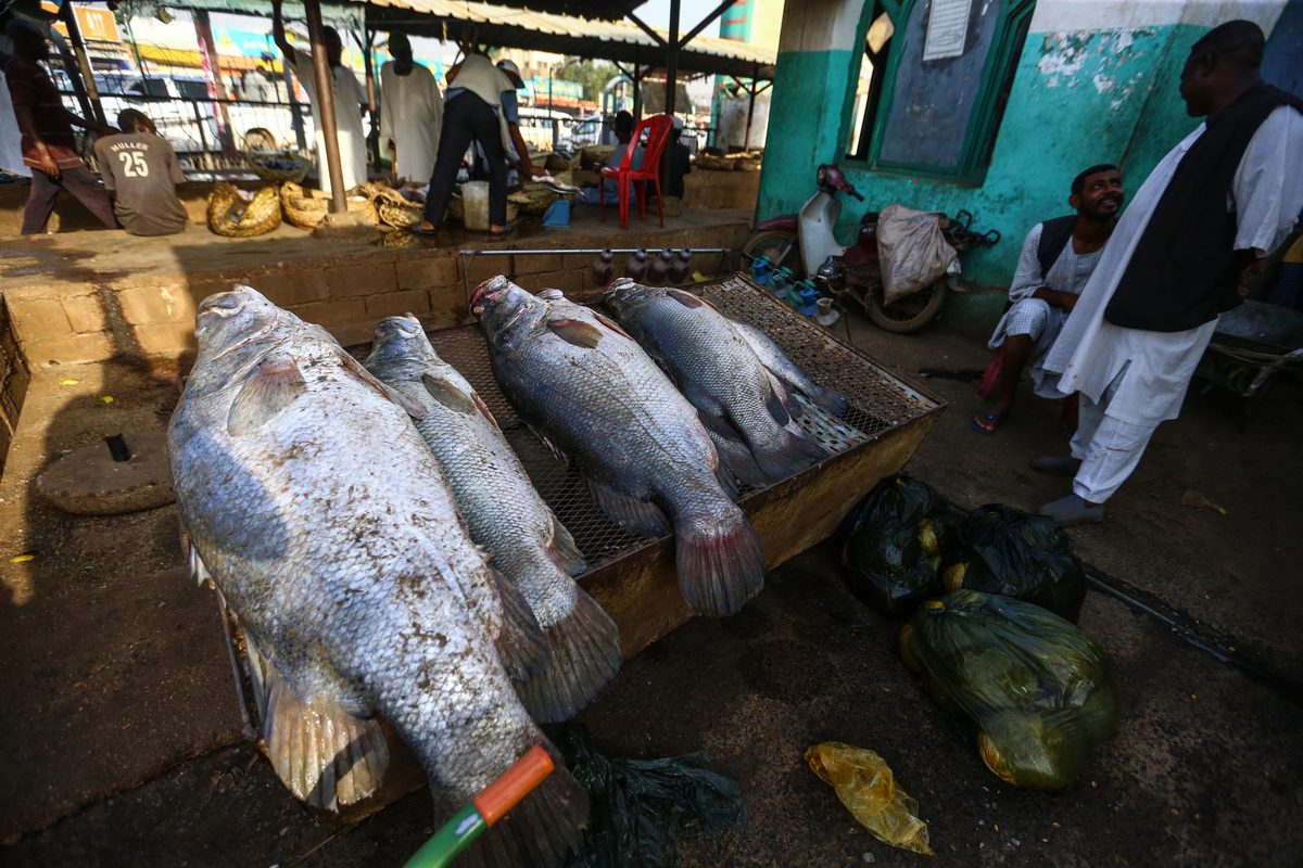 Fish market in Omdurman, Sudan – Middle East Monitor