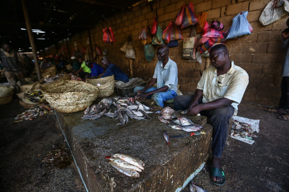Fish market in Omdurman, Sudan – Middle East Monitor