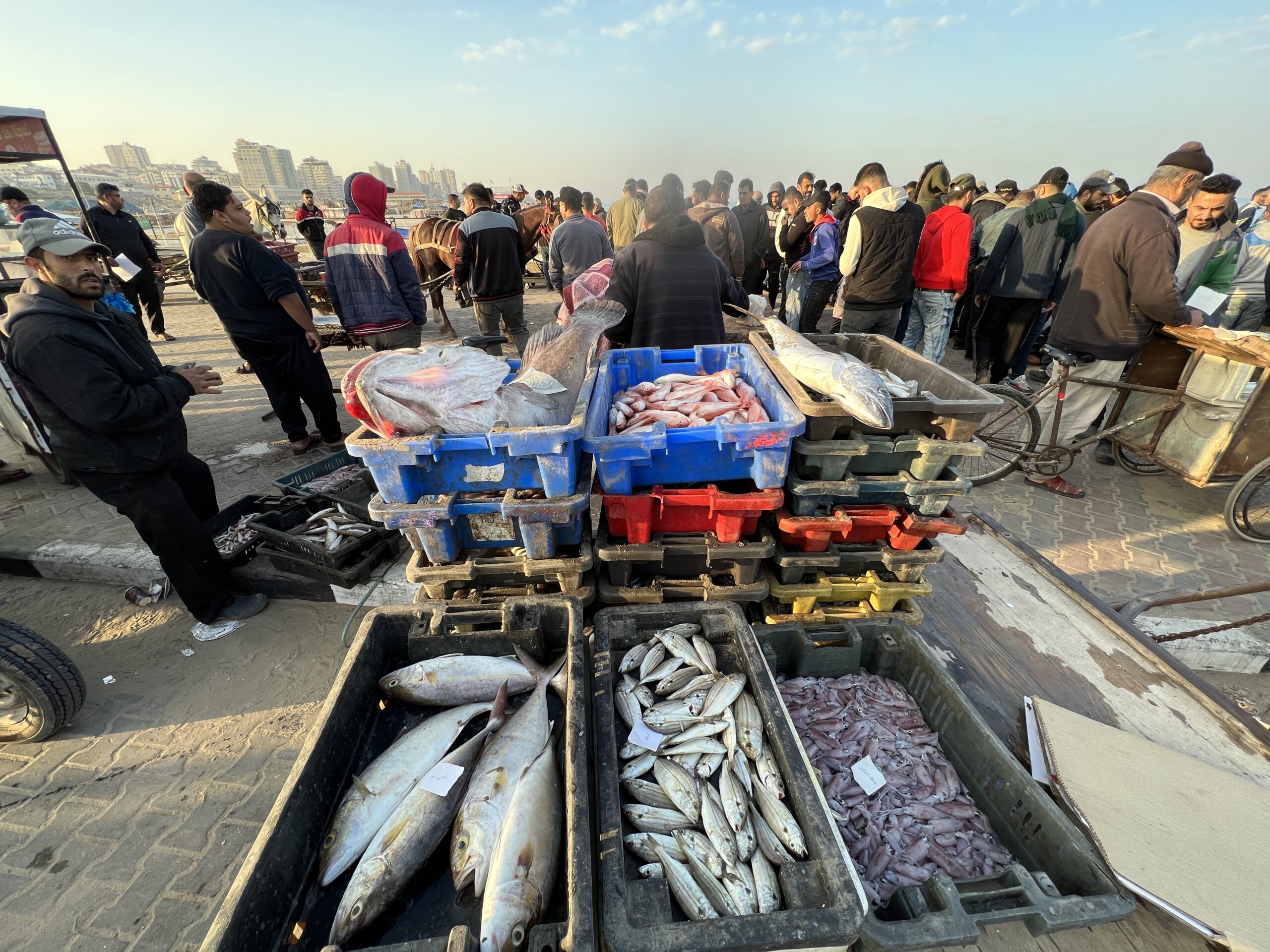 Israel bans fish exports from Gaza to West Bank – Middle East Monitor