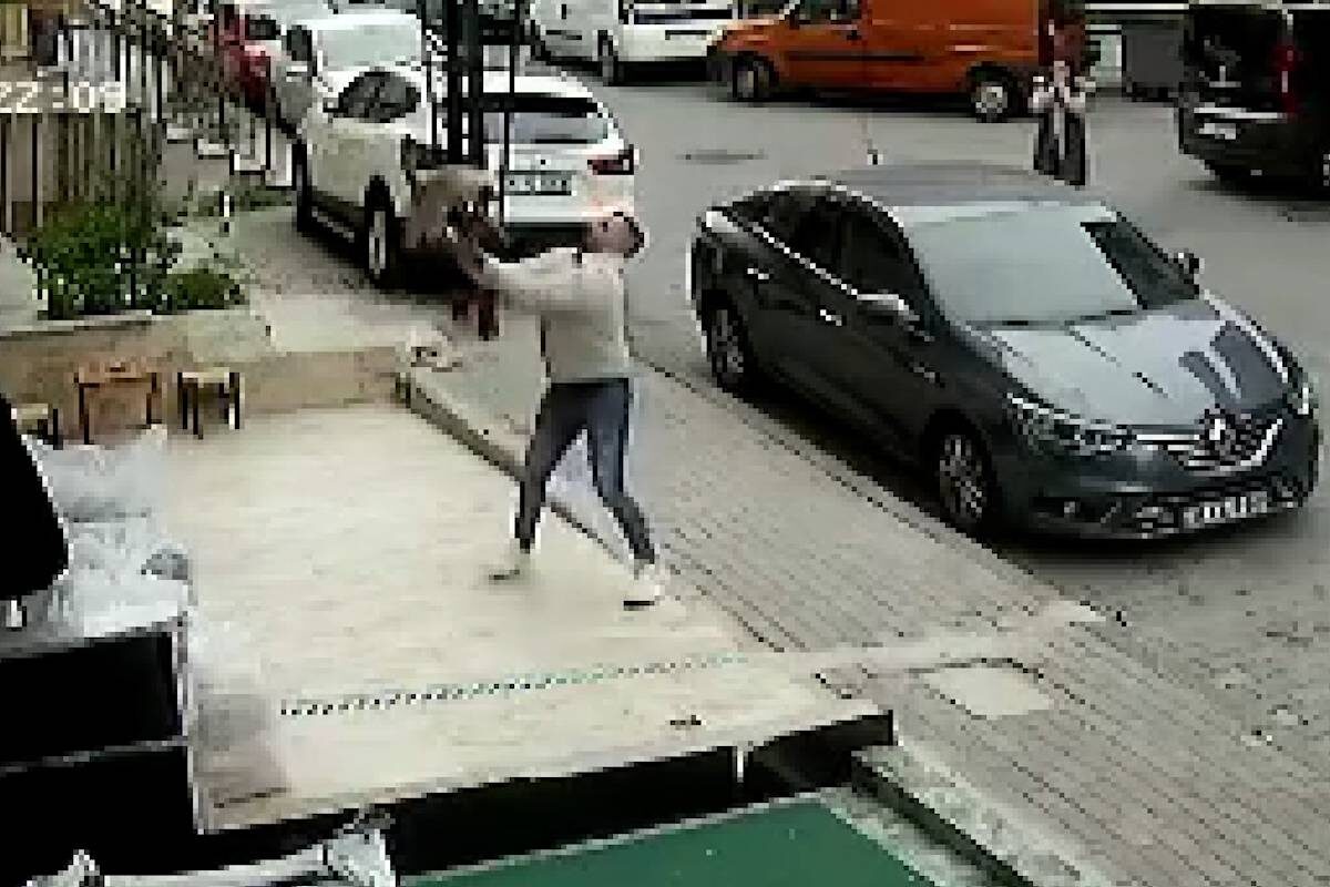 Turkiye: Man catches cat as it falls from building – Middle East Monitor