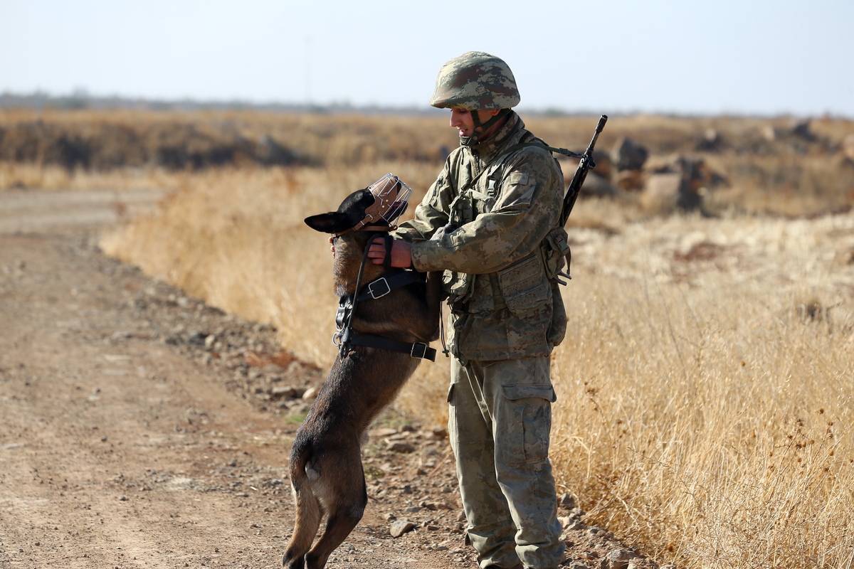 Turkish army guards Syrian border with domestic weapons – Middle East ...