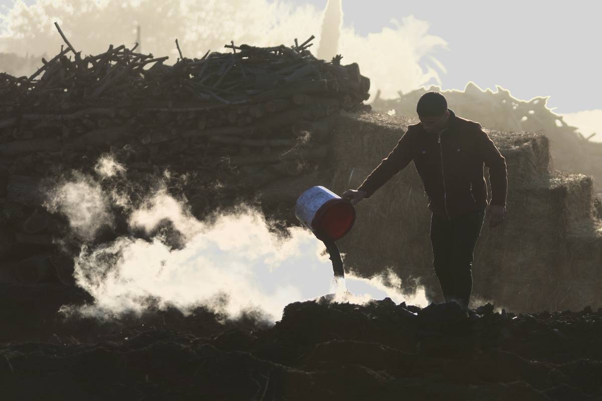 Heavy labor of wood coal workers in Egypt – Middle East Monitor