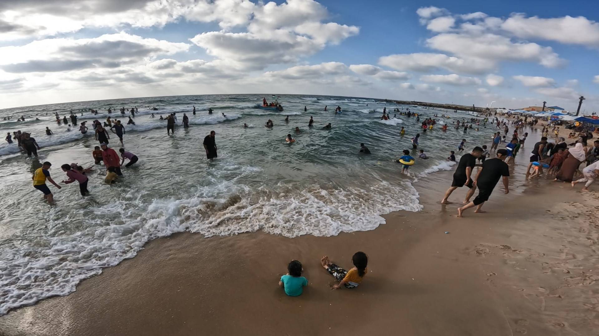 Warmer waters bring jellyfish to Gaza’s shores – Middle East Monitor