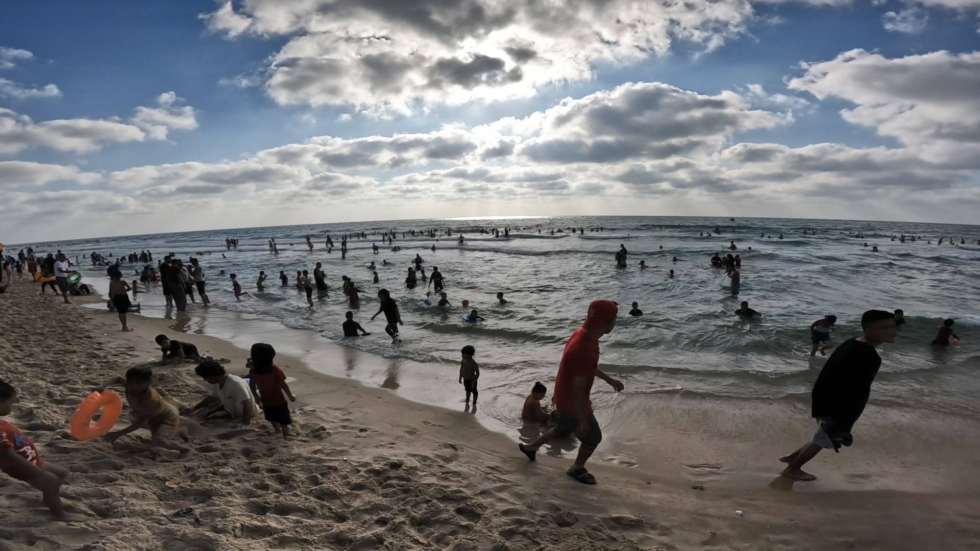 Warmer waters bring jellyfish to Gaza’s shores – Middle East Monitor