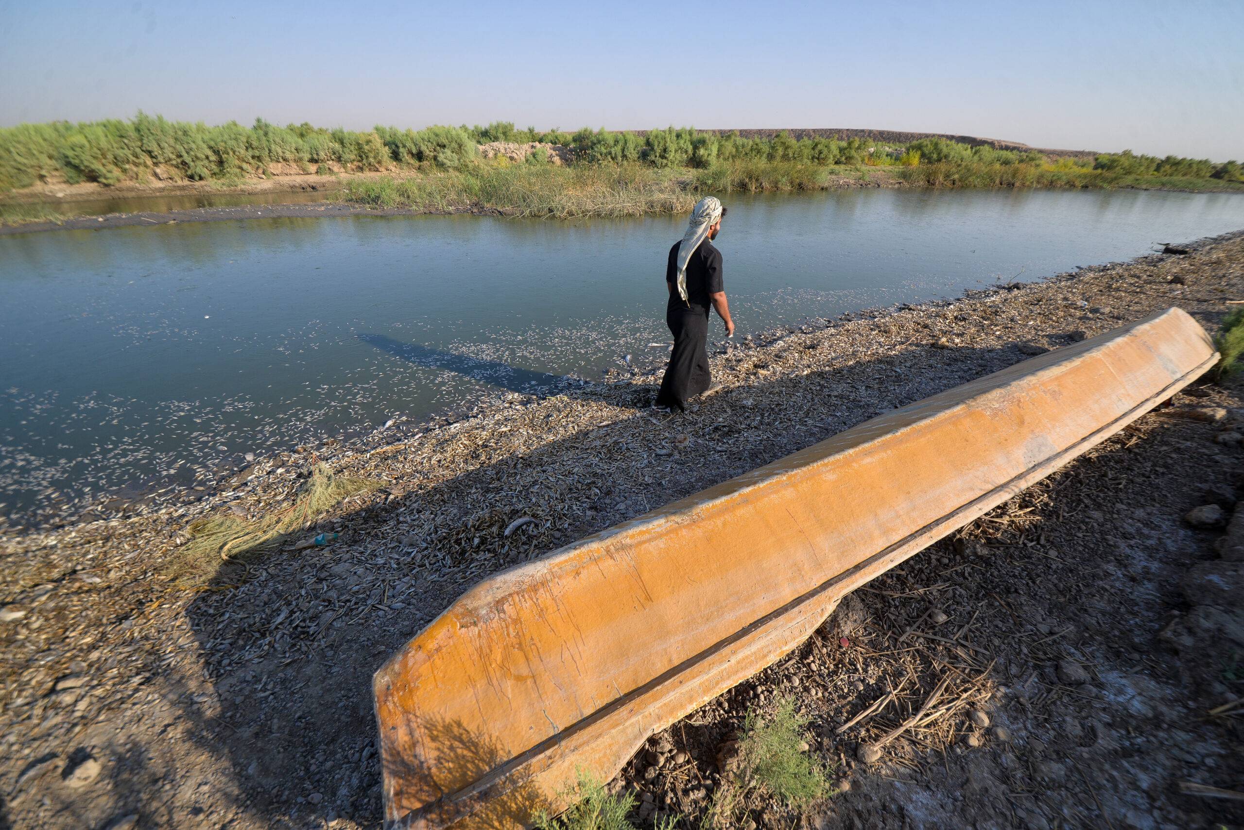 Fish dying as drought continues in southern Iraq – Middle East Monitor