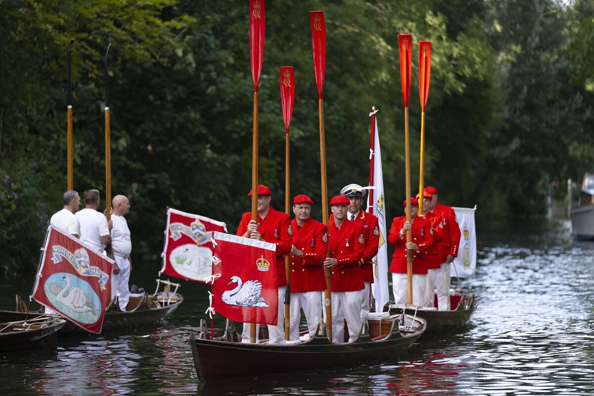 Traditional ‘swan count’ in London – Middle East Monitor