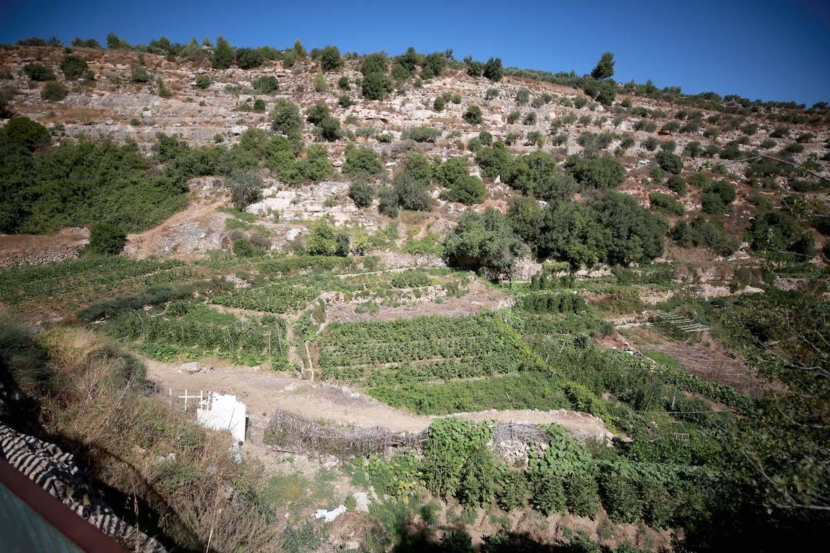 Ayn Al-Hawiyah spring in Jerusalem – Middle East Monitor