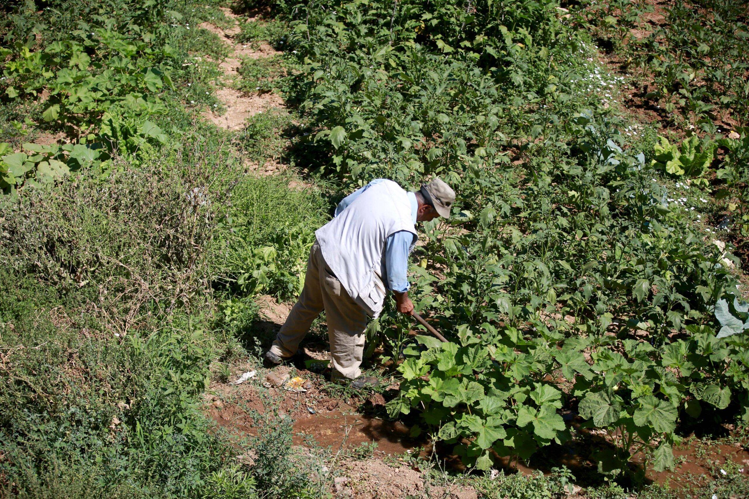 Palestine’s Al-Hawiya spring under threat of Israeli annexation ...