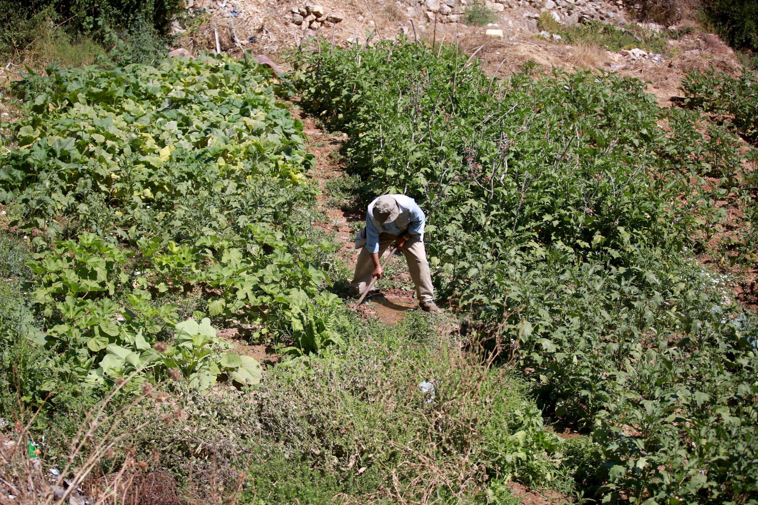 Palestine’s Al-Hawiya spring under threat of Israeli annexation ...