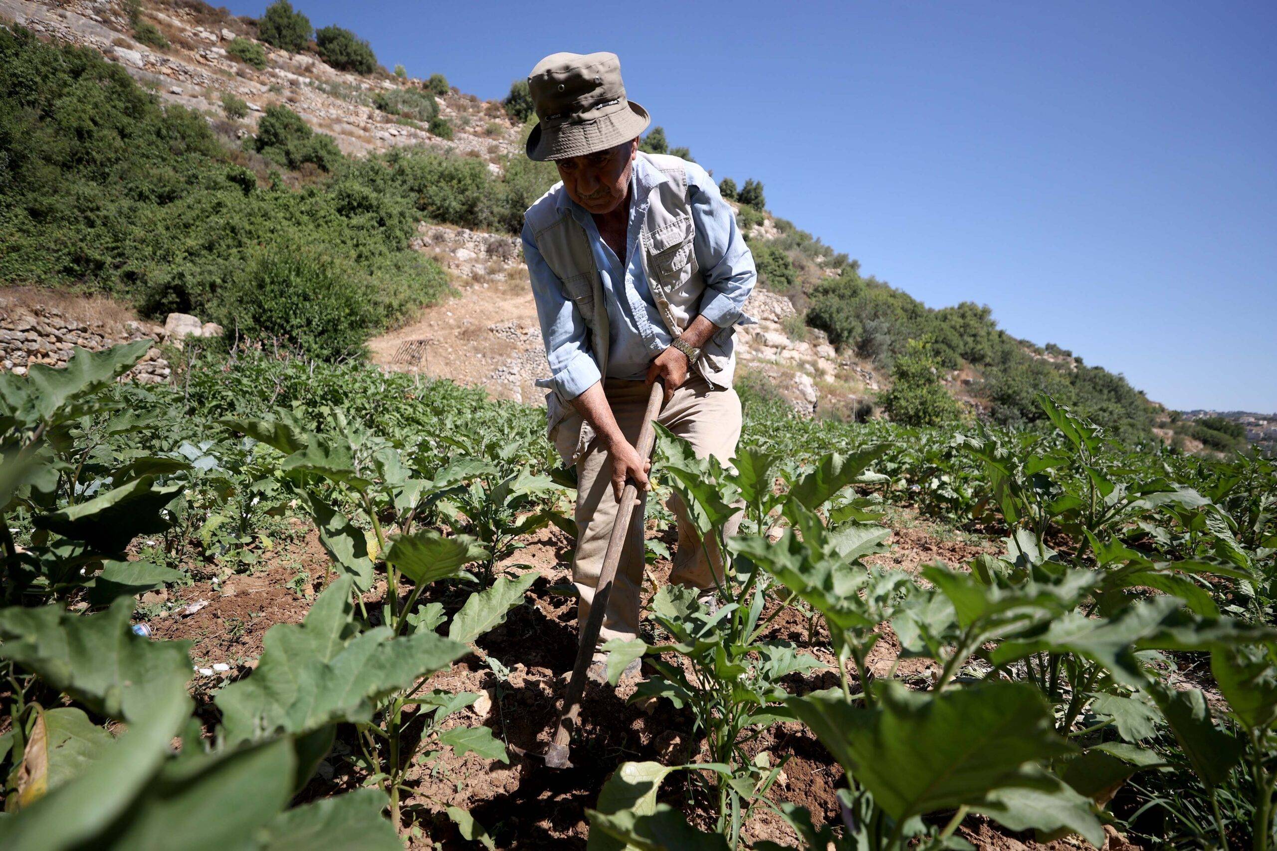 Palestine’s Al-Hawiya spring under threat of Israeli annexation ...