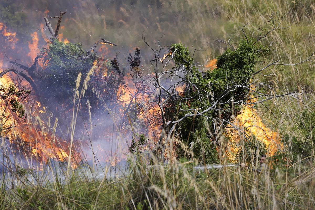 Wildfire continues in Sicily – Middle East Monitor