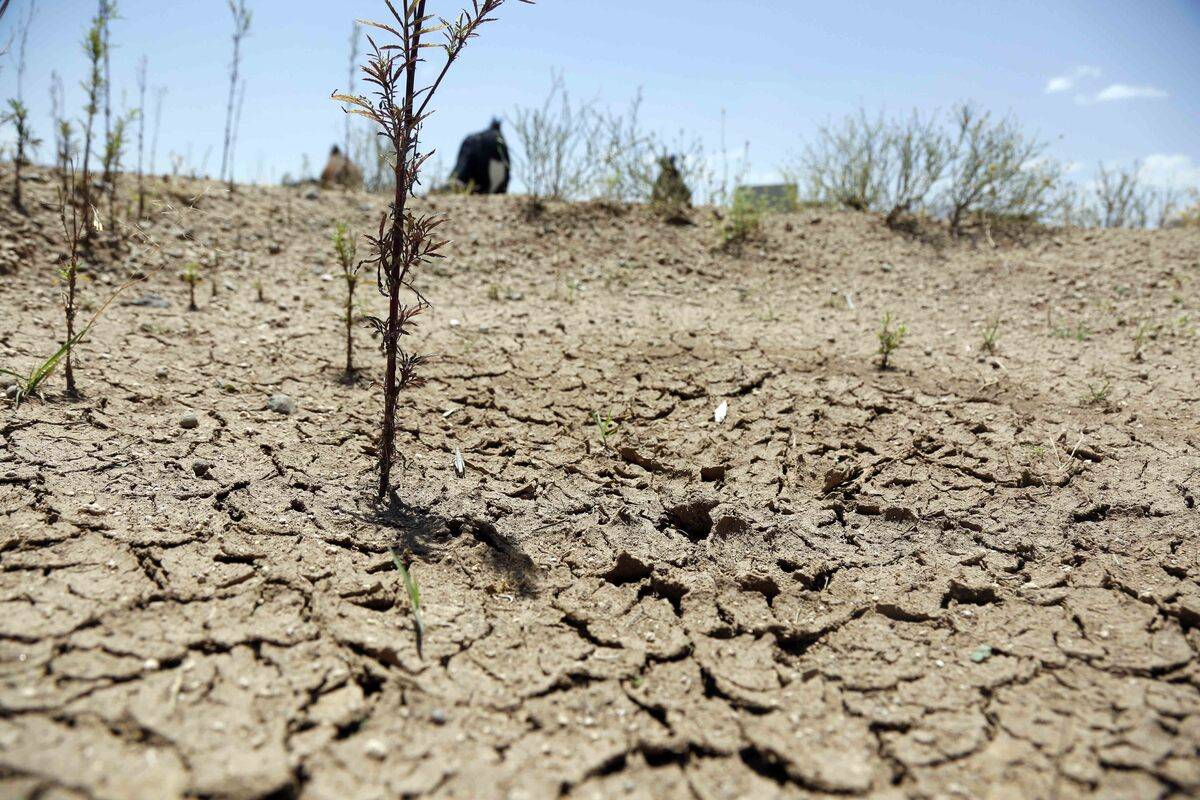 Drought and falling water levels grip Yemen as climate change impact ...
