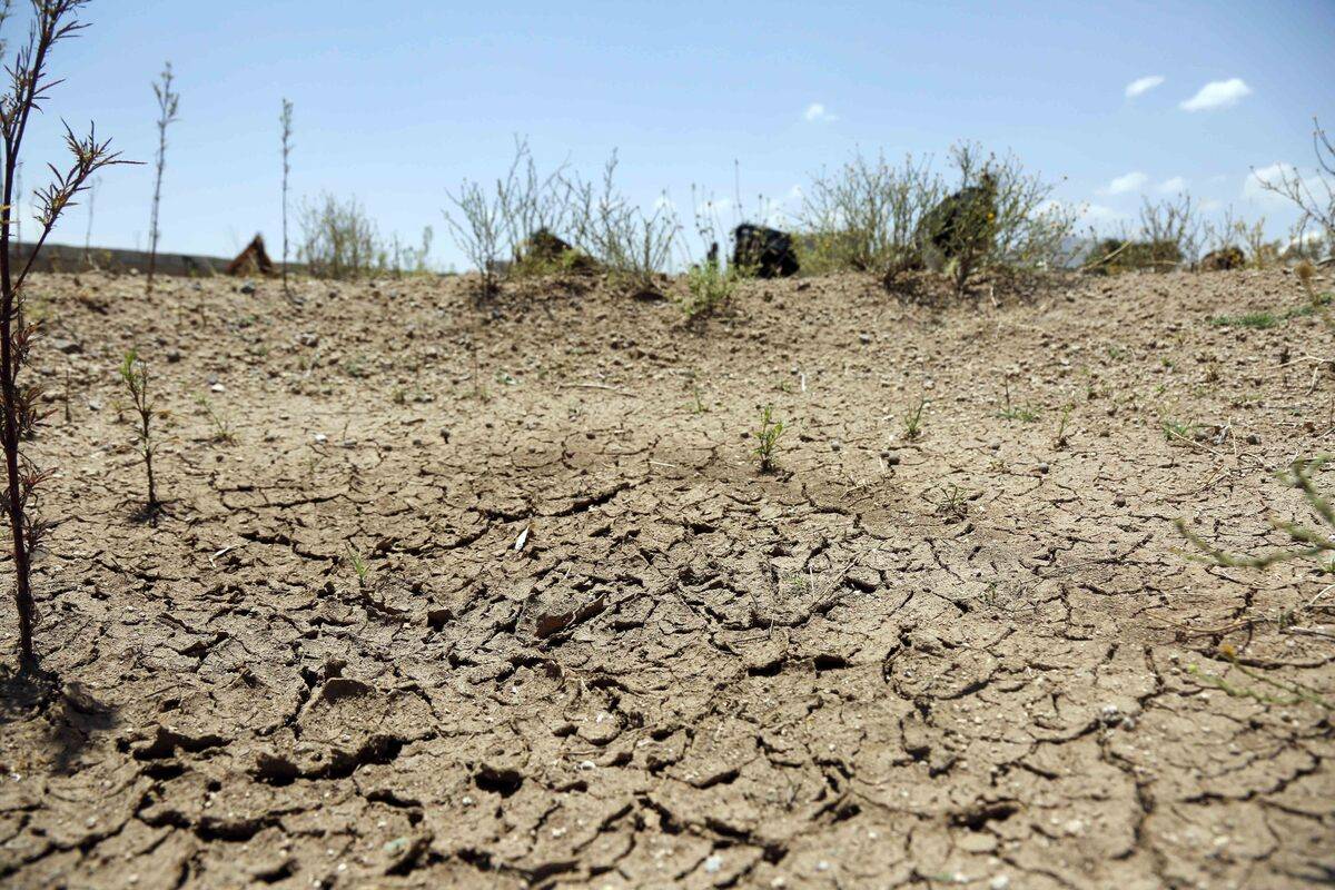Drought and falling water levels grip Yemen as climate change impact ...