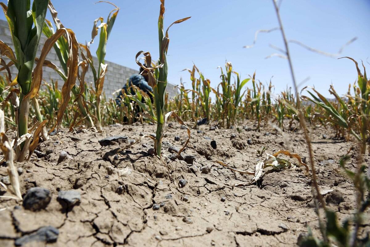 Drought and falling water levels grip Yemen as climate change impact ...