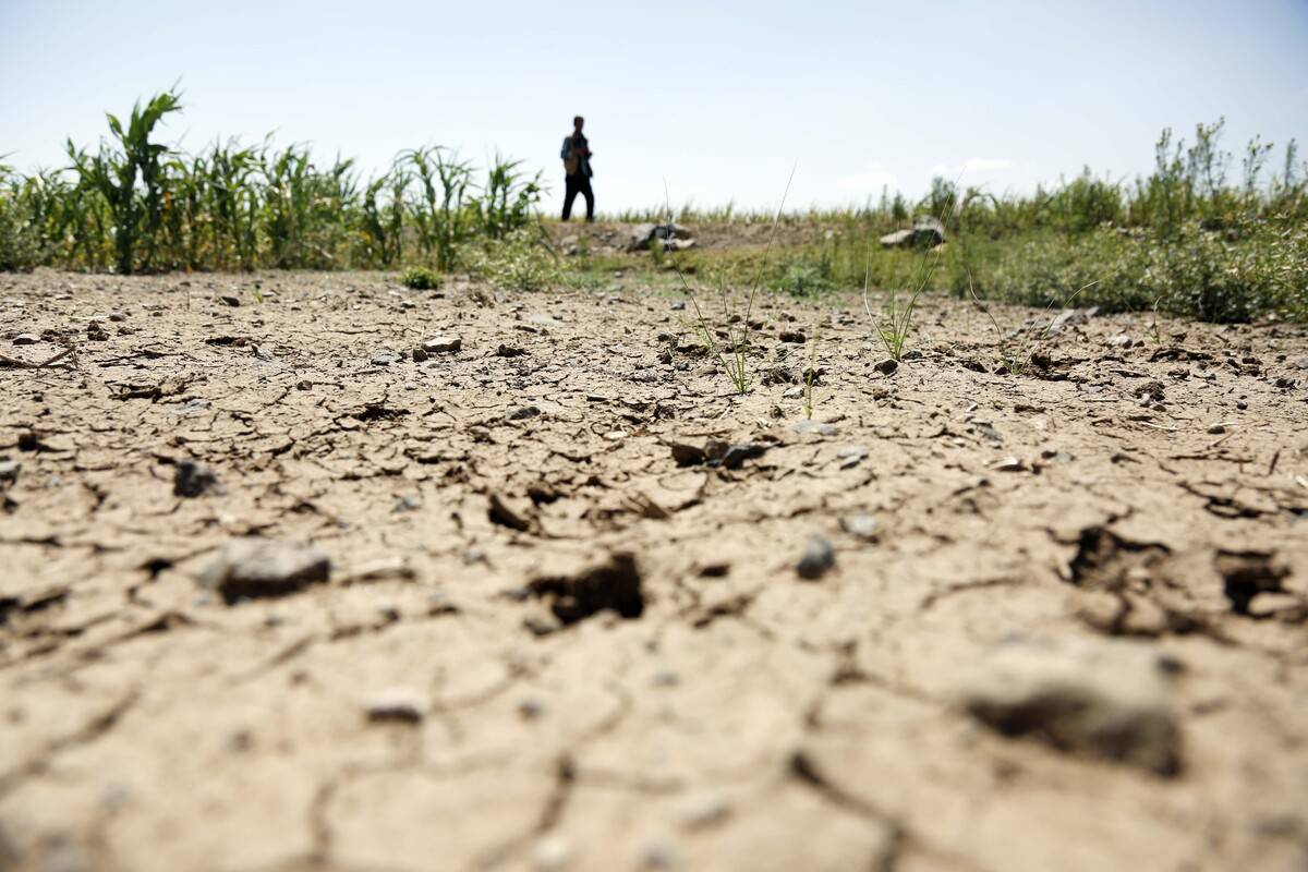 Drought and falling water levels grip Yemen as climate change impact ...