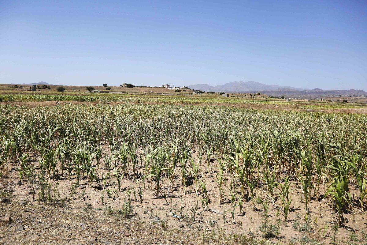 Drought and falling water levels grip Yemen as climate change impact ...