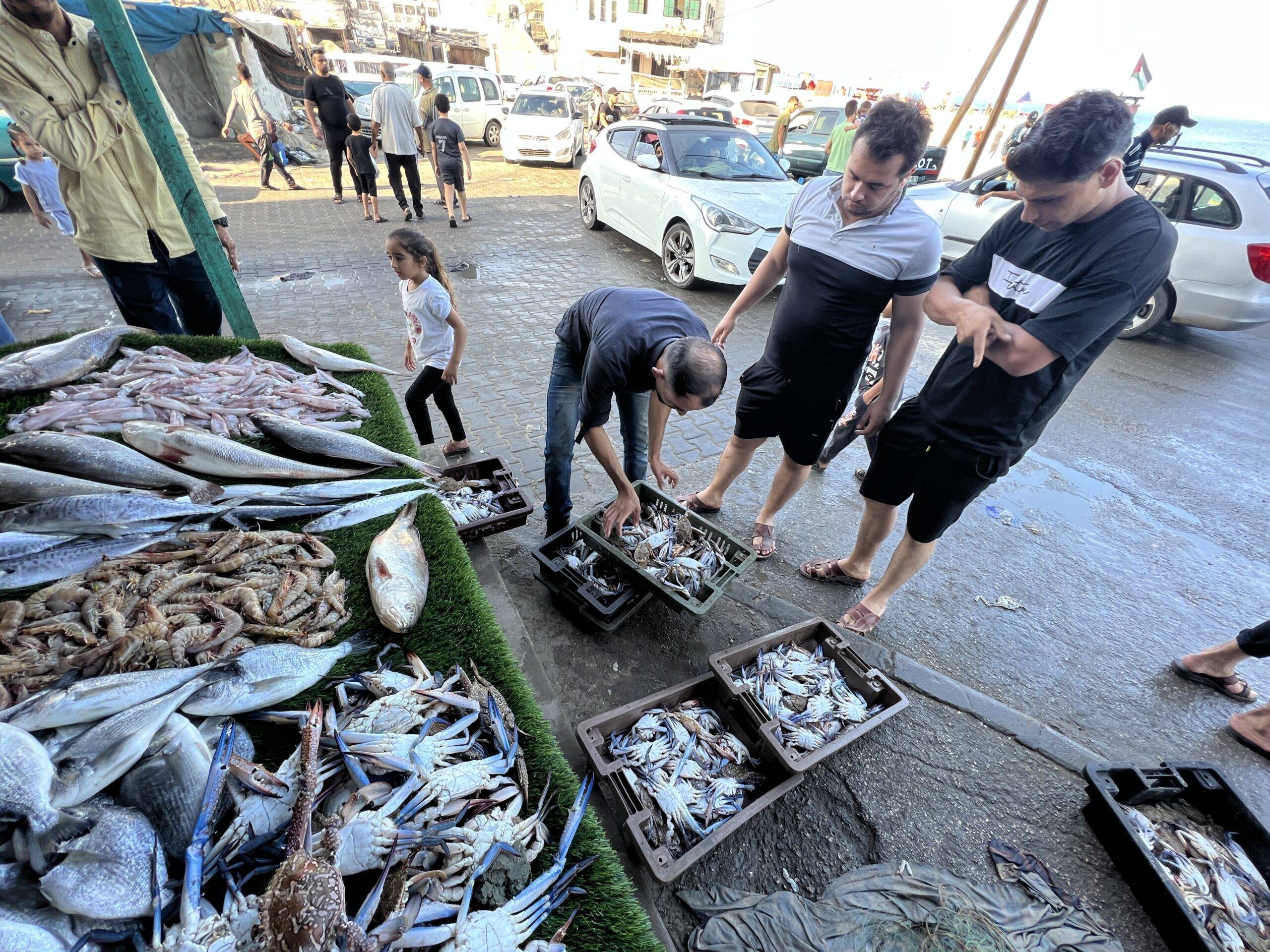 Crab fishing in Gaza – Middle East Monitor