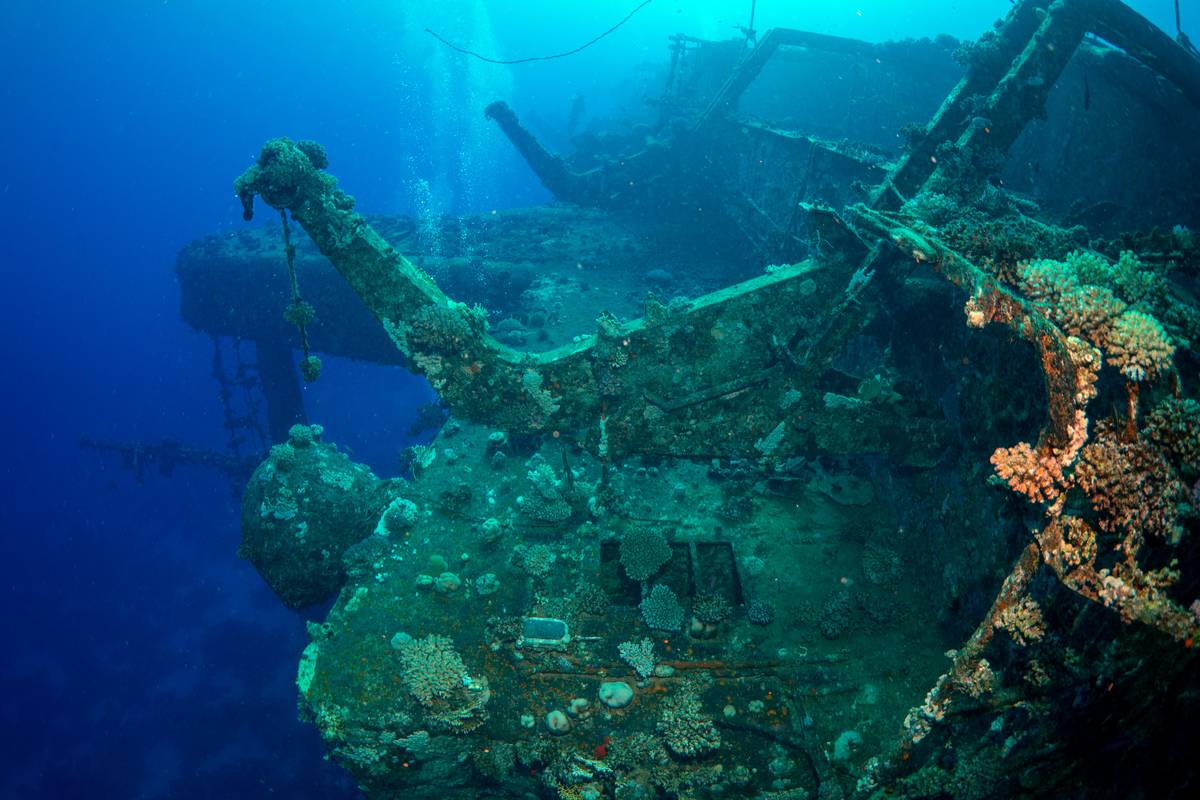 Underwater views of the wreck of the Salem Express ferry carrying ...