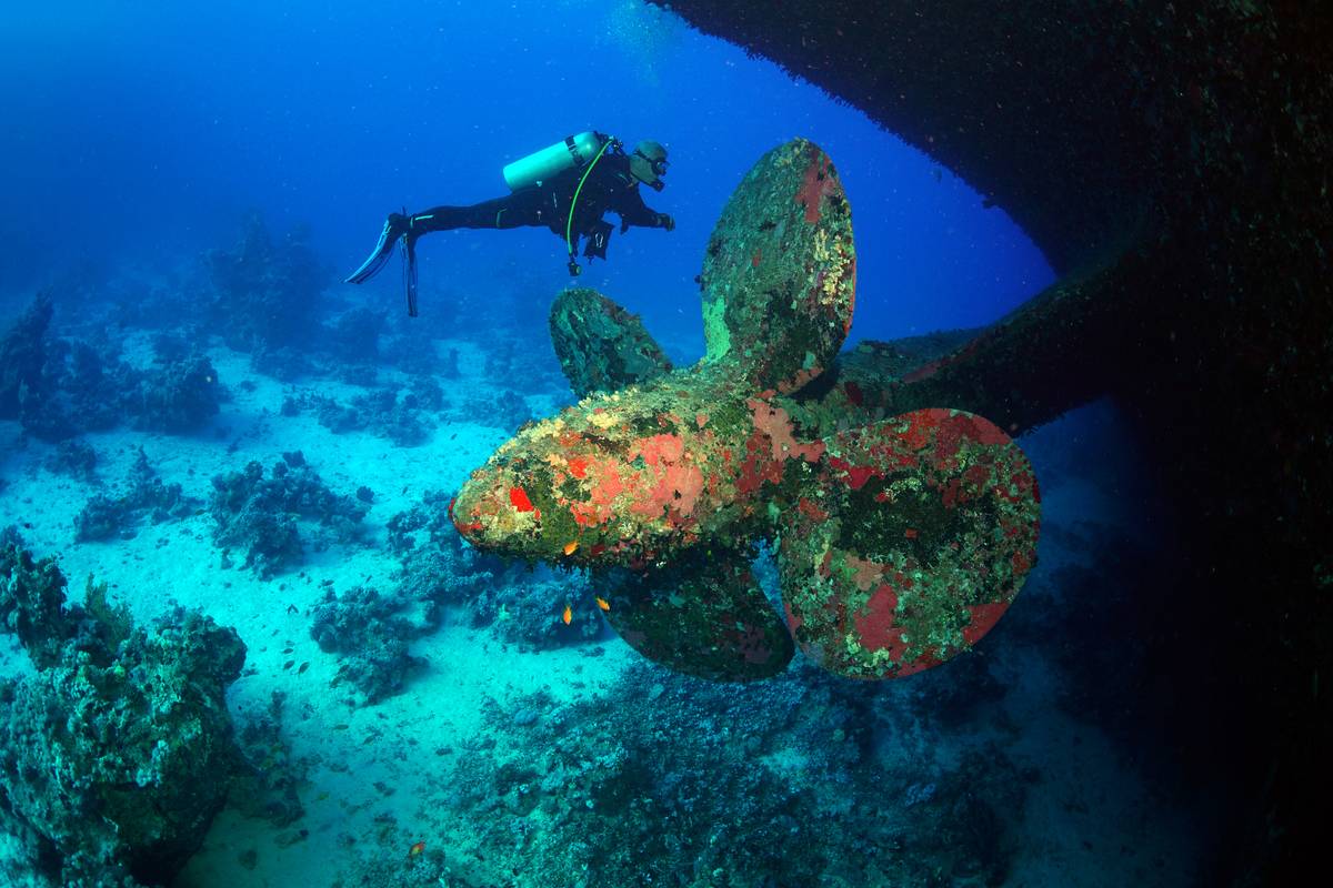 Underwater views of the wreck of the Salem Express ferry carrying ...