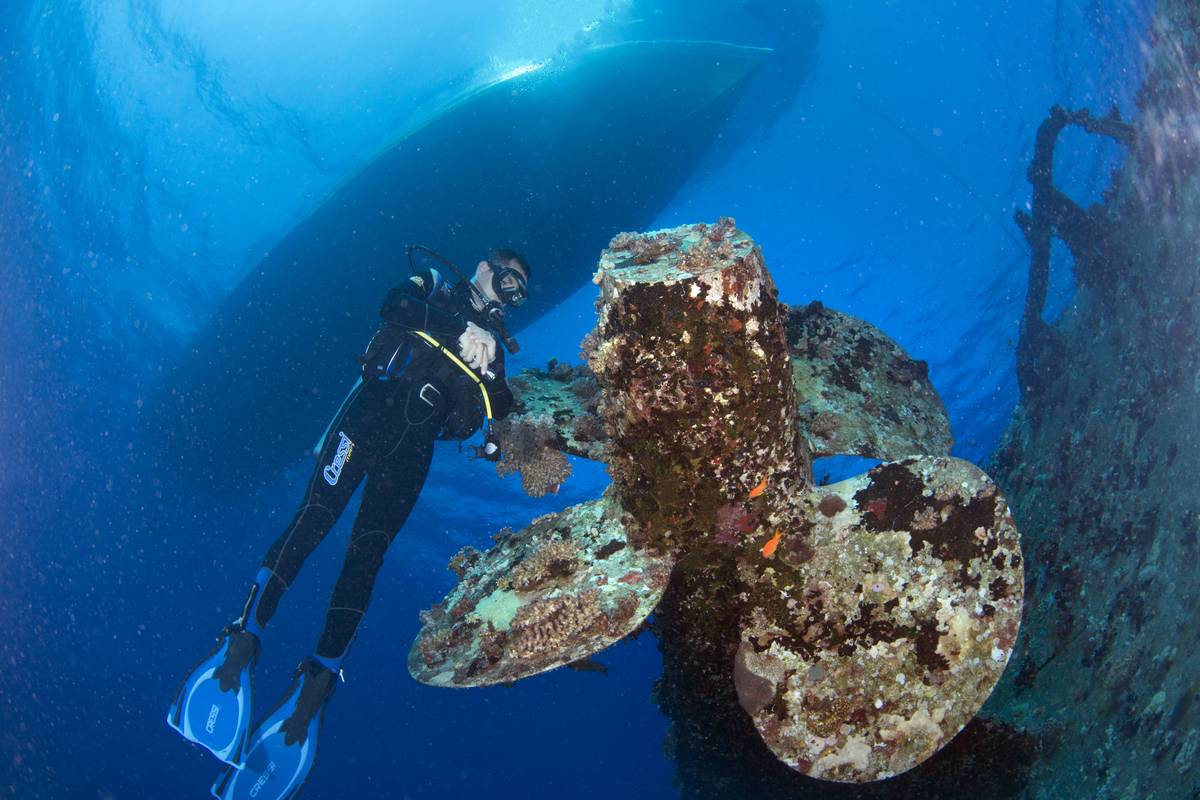 Underwater views of the wreck of the Salem Express ferry carrying ...