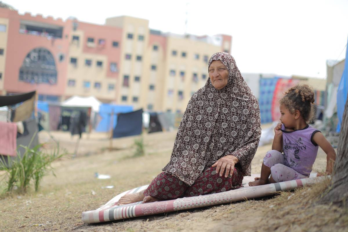 Displaced Palestinians seek refuge at Al-Aqsa University – Middle East ...