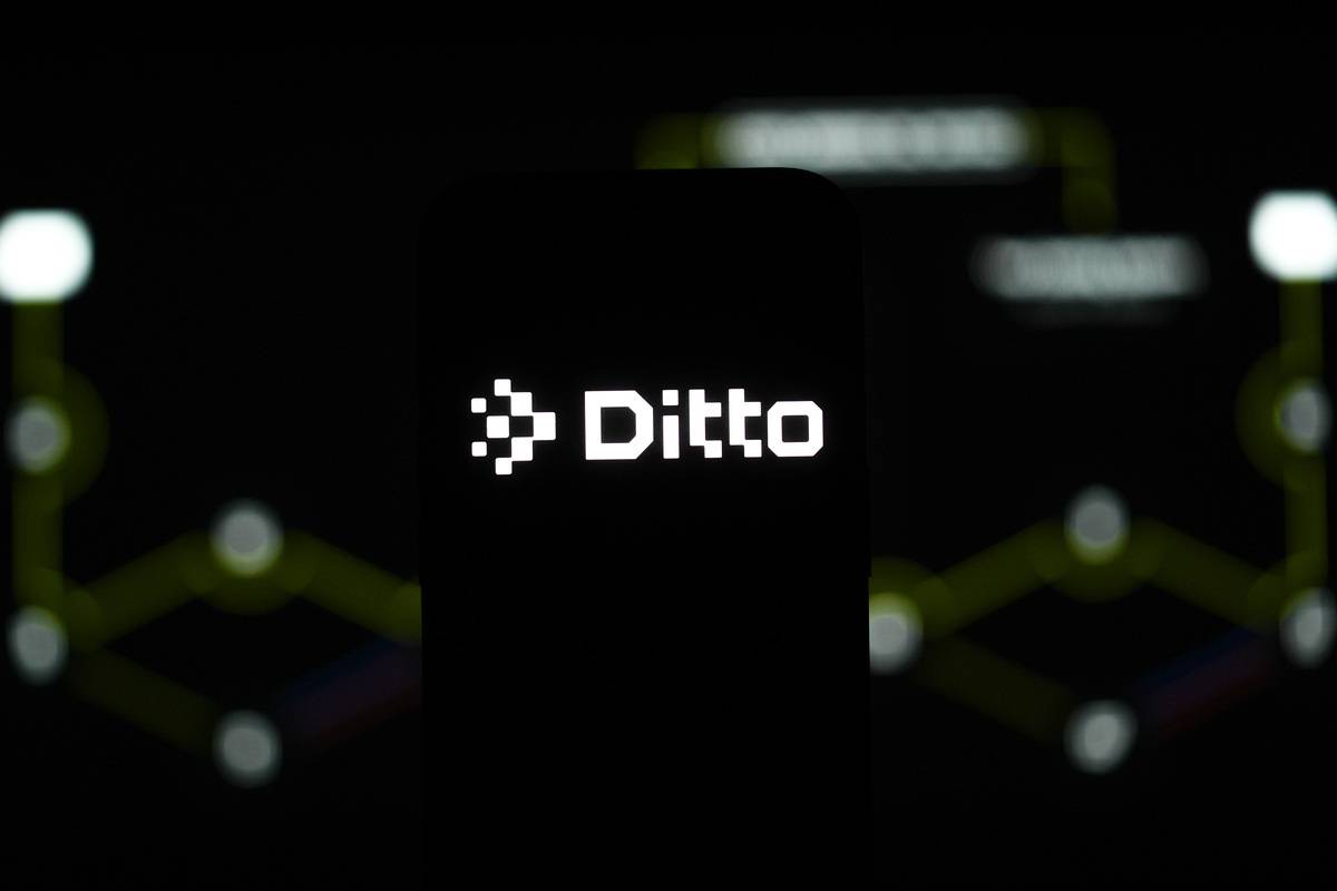 Ditto – Middle East Monitor