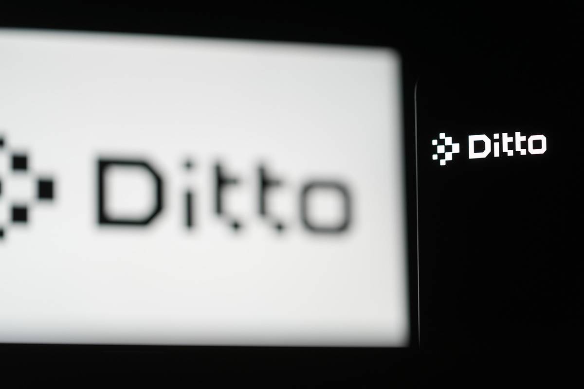 Ditto – Middle East Monitor