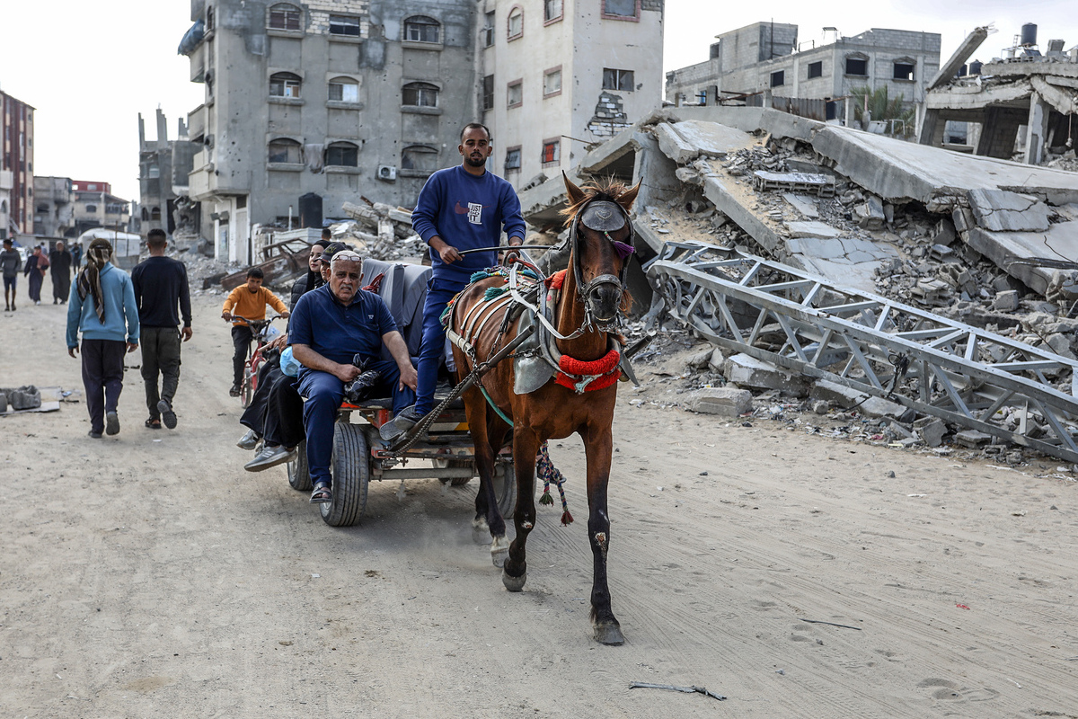 Palestinians use horse and donkey carts for transportation due to fuel ...