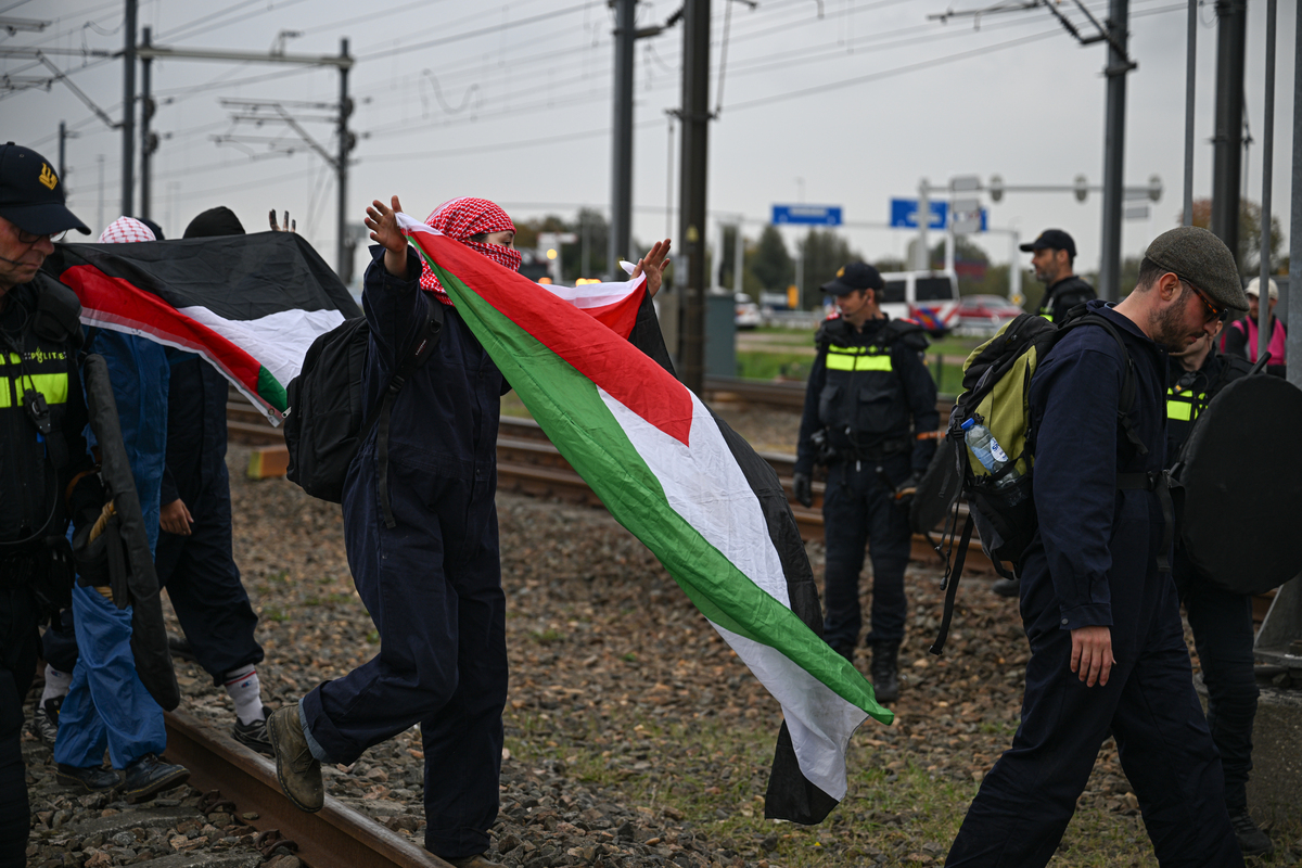 Several arrested as activists block railway in Gaza solidarity protest ...